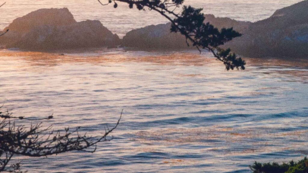 How to Be Present in Life with 5 Simple Steps - Devoutly Journal