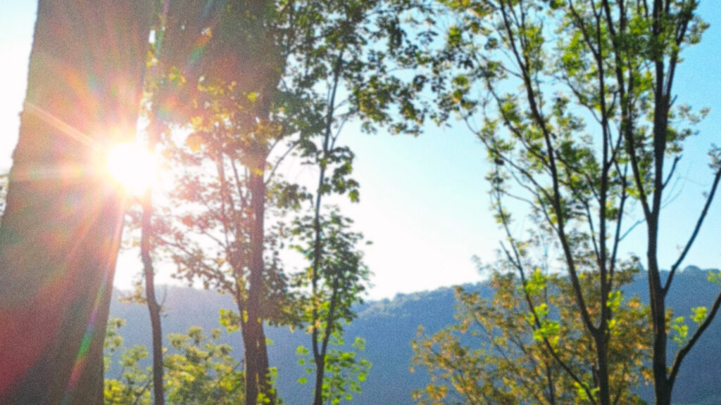 God’s Purpose: What is Your Destiny? - Devoutly Journal